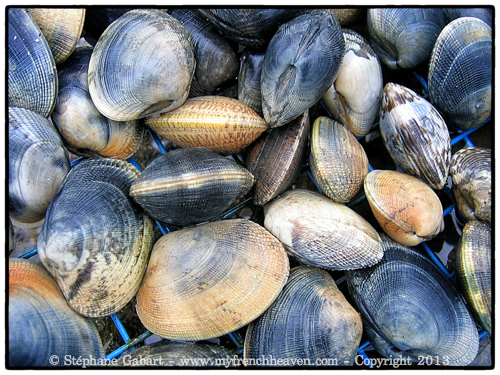 My Great Grand-mother’s clams – Palourdes et praires à la Manée – MY ...