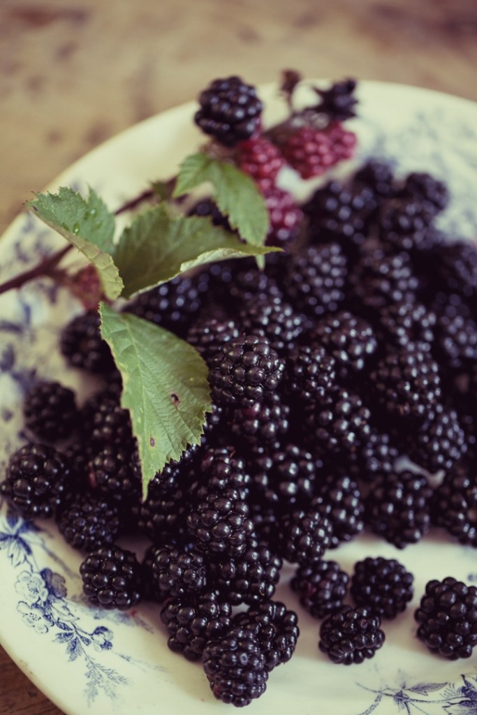 From the ruins come the sweetest berries – MY FRENCH HEAVEN