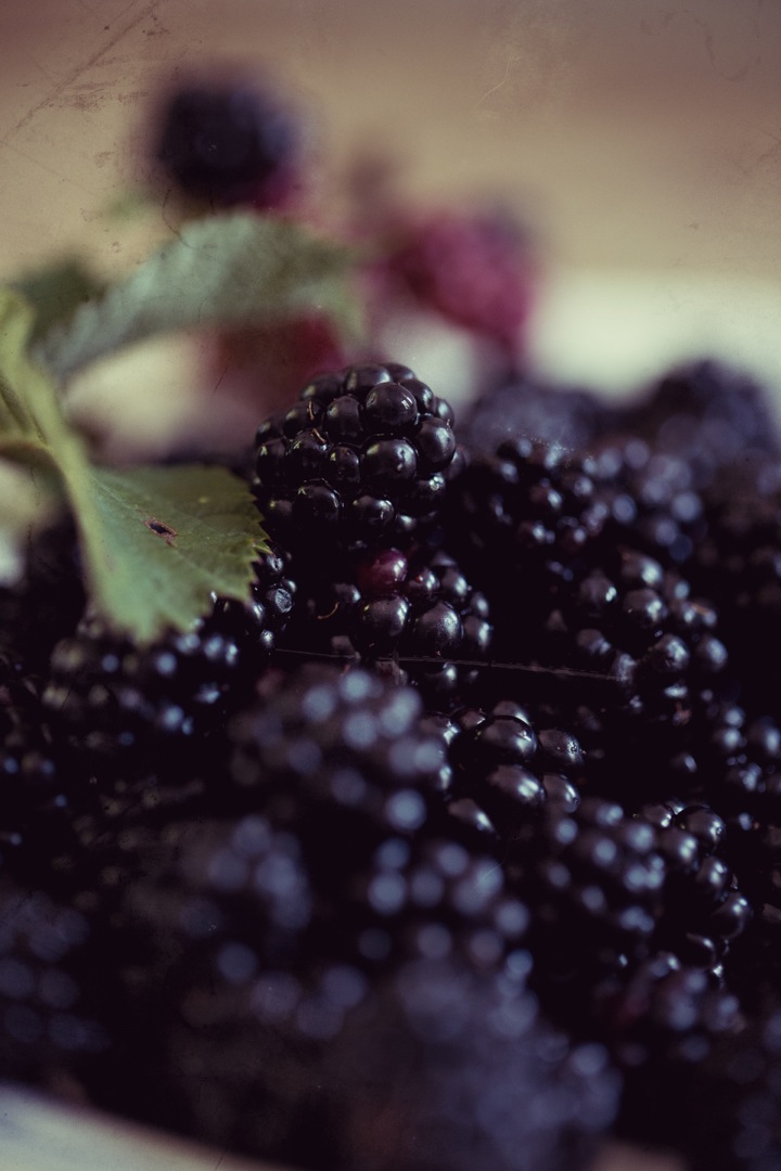 From the ruins come the sweetest berries – MY FRENCH HEAVEN